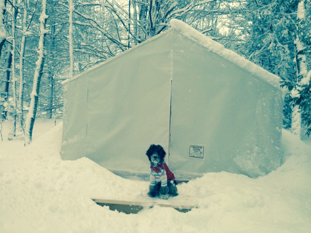 Prospector Style Tents - Tenting in Luxury